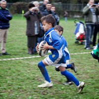 Torneo Velate – Under 8 – Associazione Sportiva Velate Rugby 1981