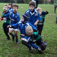 Torneo Velate – Under 8 – Associazione Sportiva Velate Rugby 1981